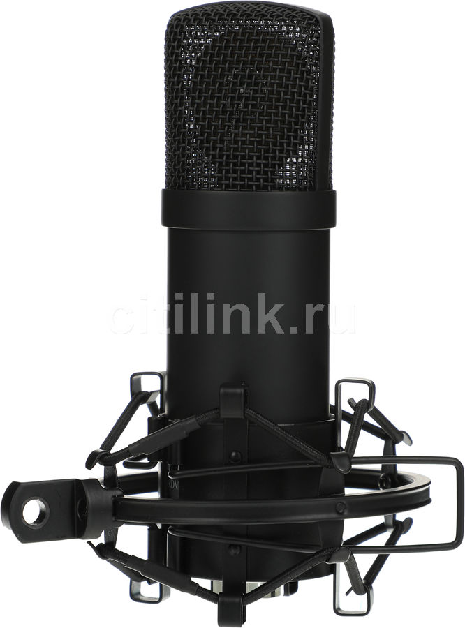 Микрофон Ritmix RDM-180, черный - купить в Ситилинк | 1160286