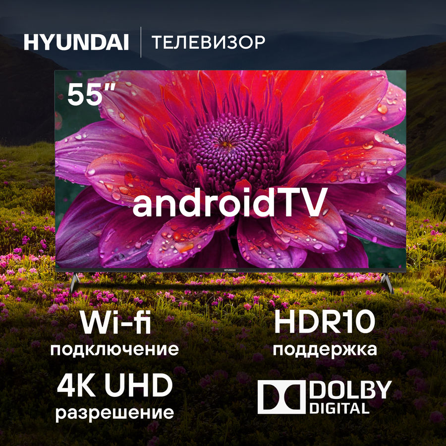 Аксессуары для 55" Телевизор Hyundai H-LED55BU7006, 4K Ultra HD, черный ...
